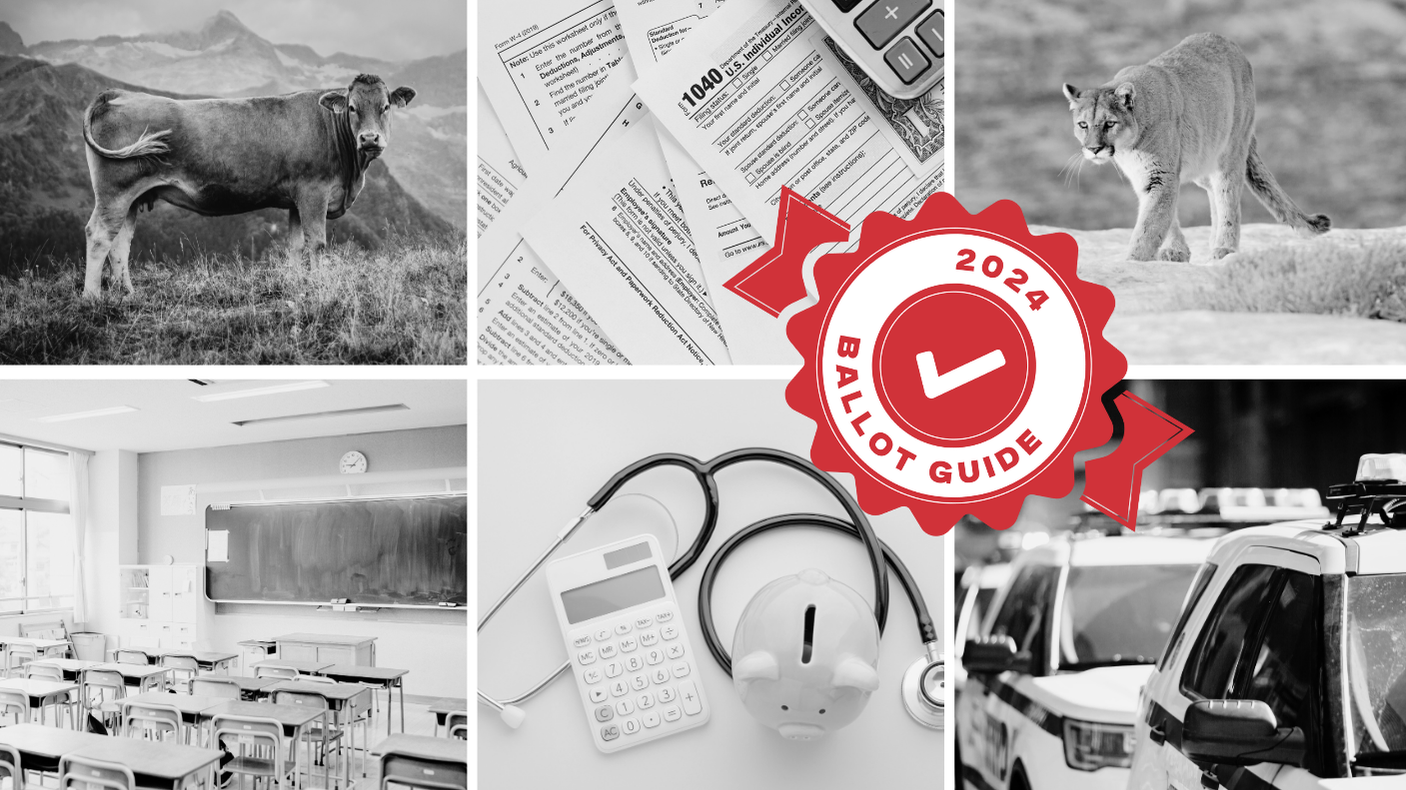 2025 Colorado Ballot Guide