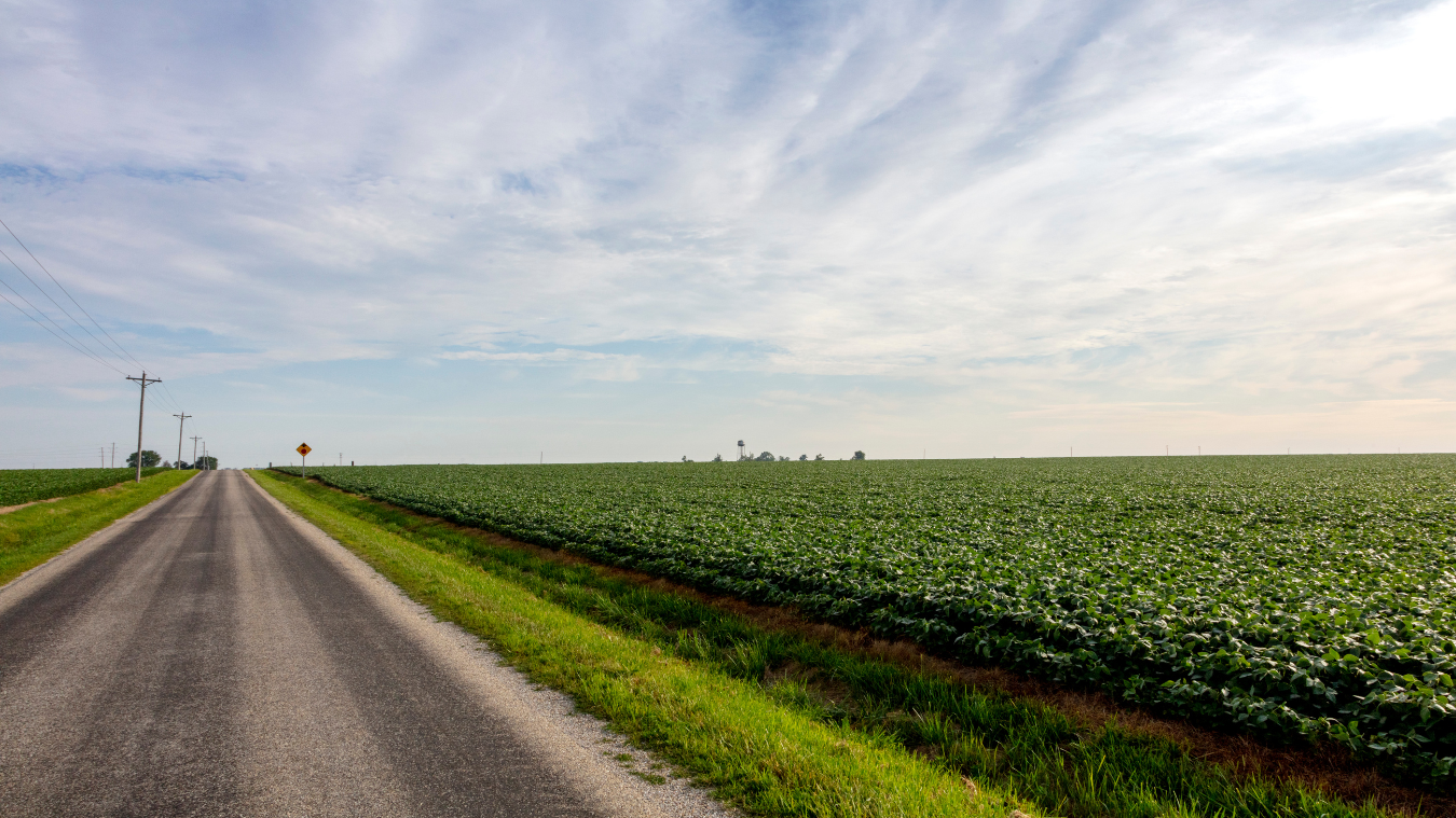 Common Sense Institute